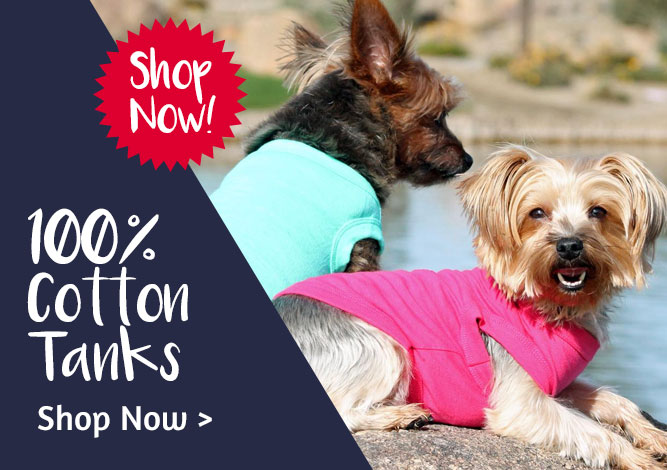 Doggie Design - Boutique Dog Clothes Designer & Wholesale Sales